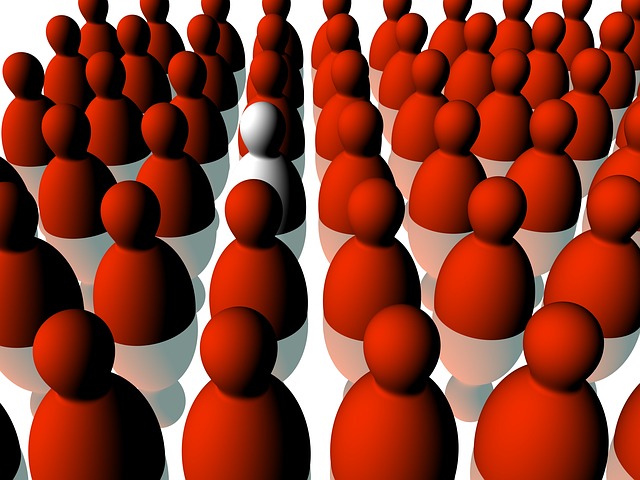 Governing in a Divided Society - PA TIMES Online | PA TIMES Online