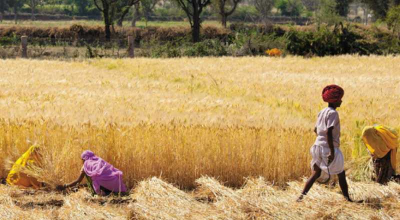 India’s General Budget 2020: A Roadmap for Sustainable Economic ...