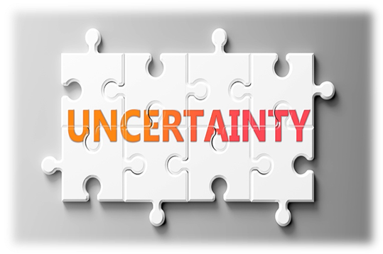 Examining What Lies Ahead: Enduring Growth, Building Resilience and ...
